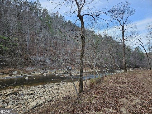 289 Anglers Ridge Rd, Talking Rock, GA 30175