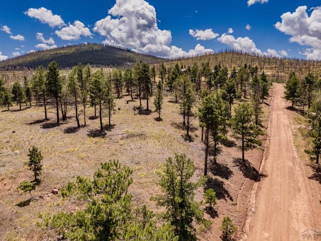 289 Hagin Ln, Fort Garland, CO 81133 | MLS #233440