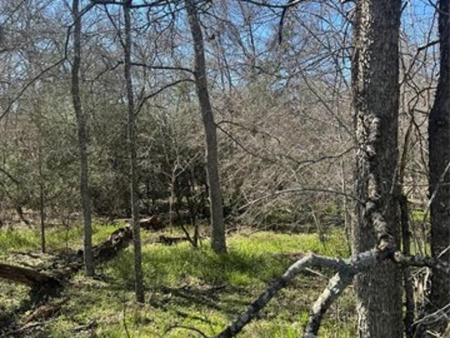 289 Iva Ln, Bastrop, TX 78602