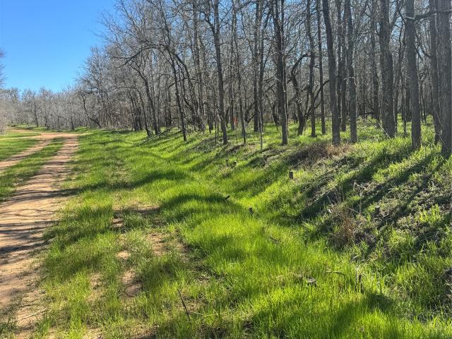289 Iva Ln, Bastrop, TX 78602 | MLS #2849 | Compass