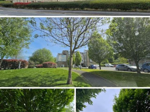 289 Otley Road, Bradford, Bradford BD3, 1 bed flat to rent, £600 pcm | PrimeLocation