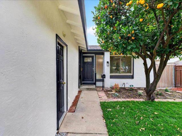 289 Martinvale Lane