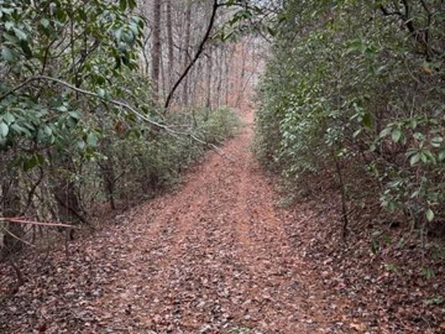 289 Paradise Park, Murphy, NC 28906
