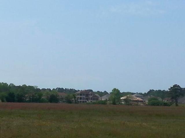 28.53 Ac Old Sanders Drive