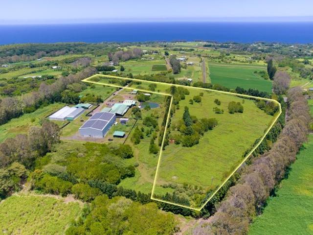28 595 Kaupakuea Homestead Rd, Pepeekeo, HI 96783