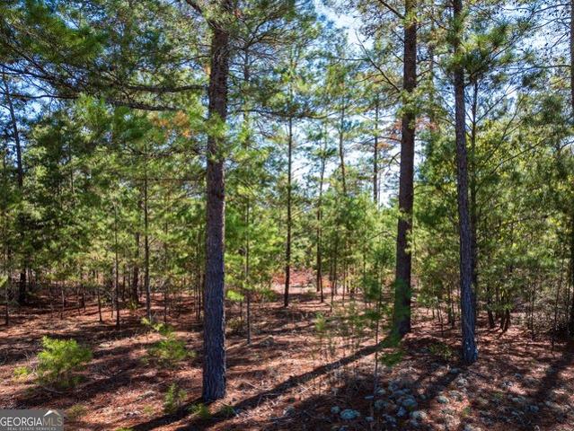 28.95 Acres Horne Rd, Roberta, GA 31078