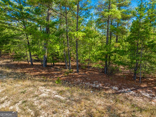 28.95 ACRES Horne Road
