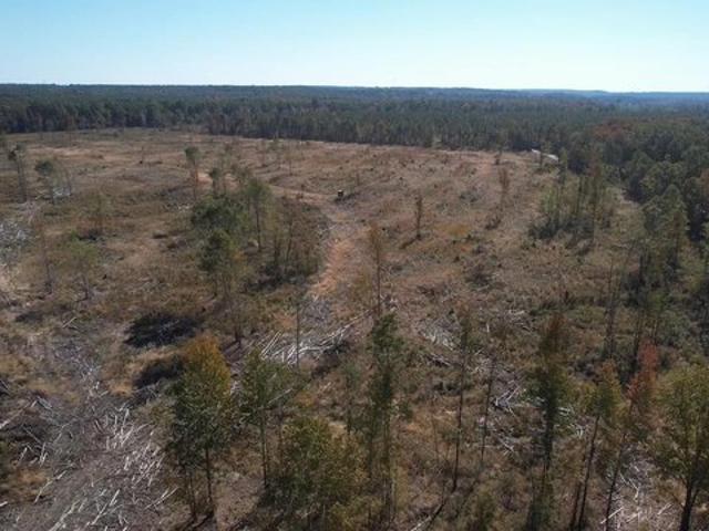 28 9 8 Freedom Rd, Star City, AR 71667