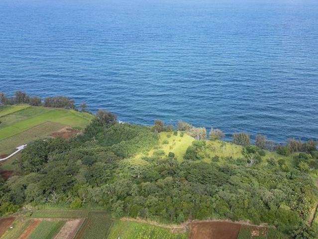 28 110 Kulaimano Homestead Rd, Pepeekeo, HI 96783