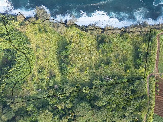 28 110 Kulaimano Homestead Rd, Pepeekeo, HI 96783 | MLS #723898 | Compass