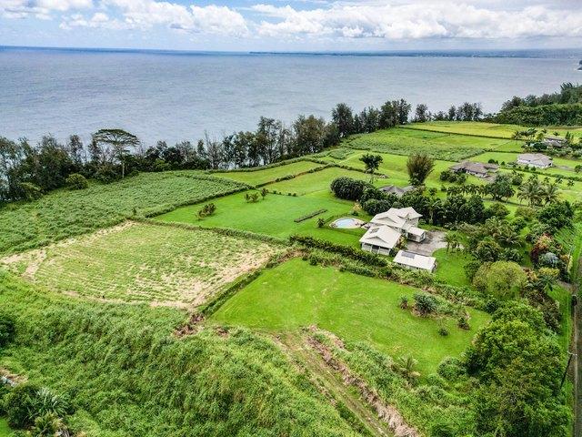28 1168 Loa Rd, Pepeekeo, HI 96783