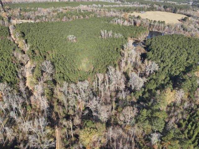 28 14 22 Nevada County Road 141, Rosston, AR 71858