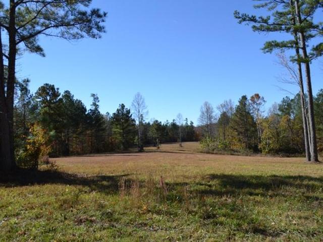 28 30AC Whitson Hollow Rd, Red Boiling Springs, TN 37150