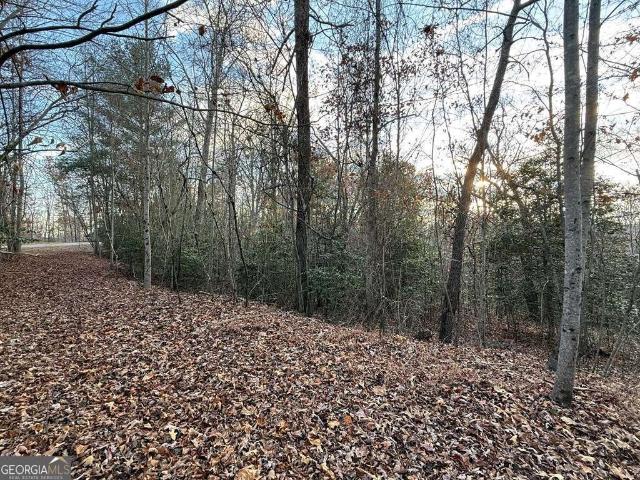 28 32 Stuart Ridge Rd, Mineral Bluff, GA 30559 | MLS #10675 | Compass