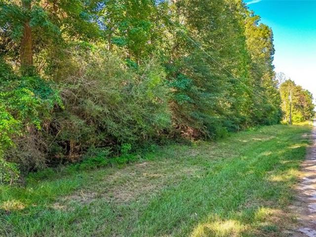 28 Timber Grv, Livingston, TX 77351