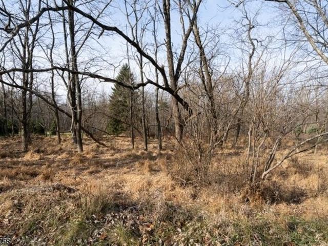 28 W Springtown Rd, Washington Township, NJ 07853