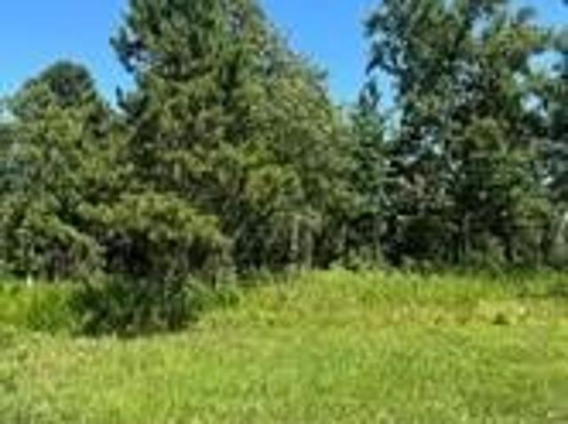 28 Autumn Ct Lot 28, Dover, AR 72837