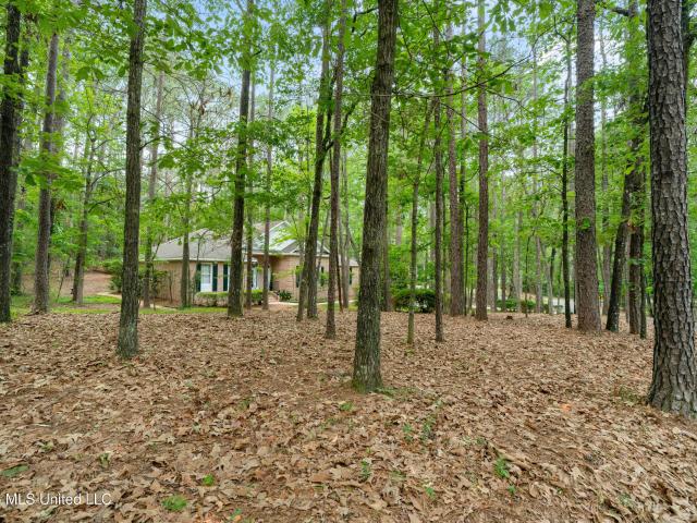 28 Canebrake Boulevard