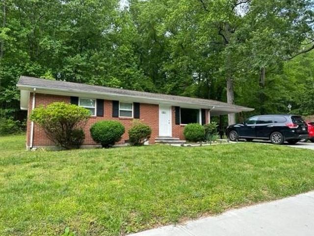 28 Carpenter Ln, Dahlonega, GA 30533