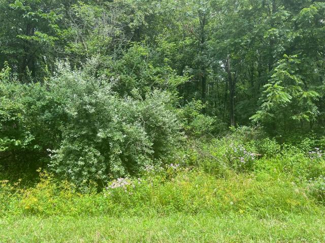28 Cedar Ln, Putnam, IL 61560 | MLS #12568 | Compass