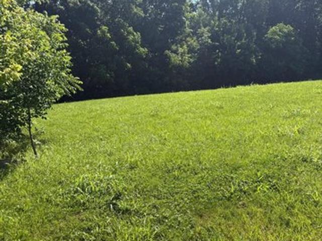 28 Chelsey Park Dr, Fisherville, KY 40023
