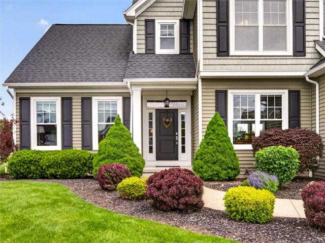 28 Copper Beech