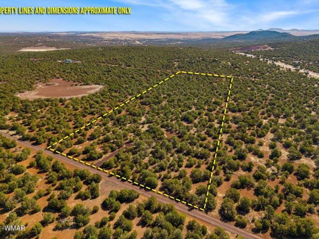 28 County Road 8623, Concho, AZ 85924