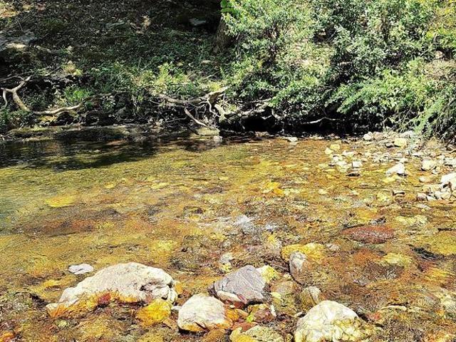 28 Creek Side Trail