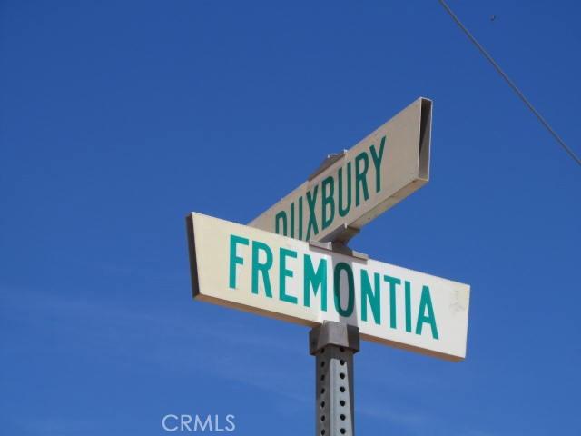28 Fremontia