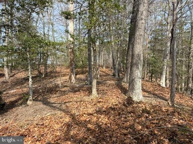 28 HAUL Shore Hidden Lake Dr, Montross, VA 22520