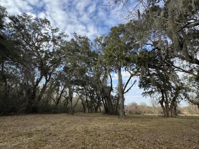 28 Hopkinson Place Dr, Edisto Island, SC 29438