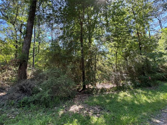 28 Laurel Oak