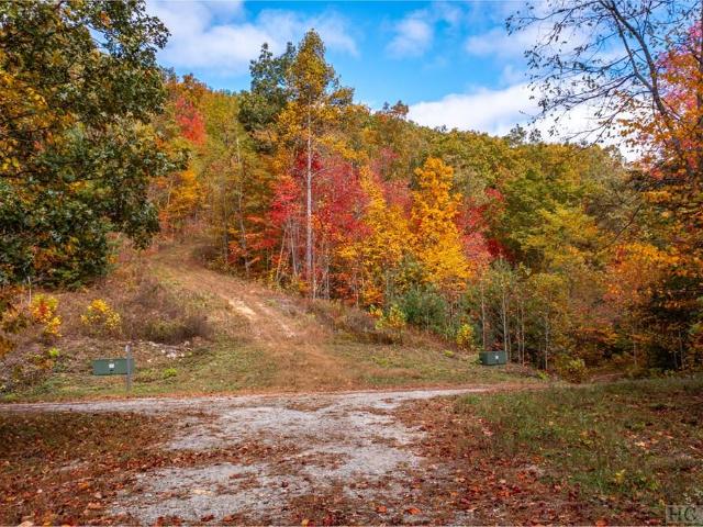 28 Lowland Glade