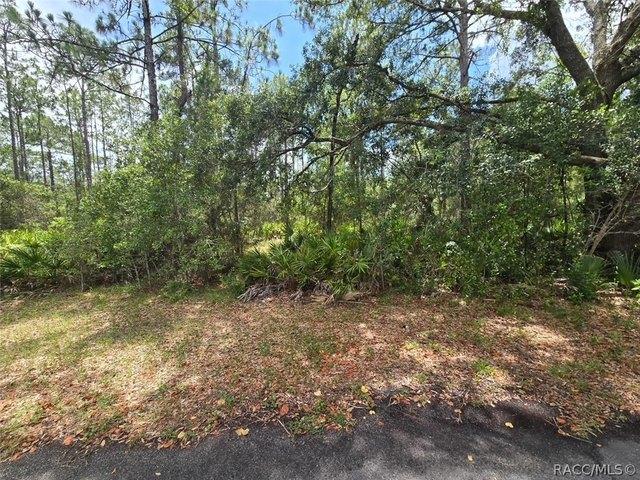 28 Mangrove Ct S, Homosassa, FL 34446