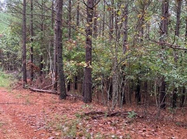 28 Madison Cr, Fredericktown, MO 63645 | MLS #24058 | Compass