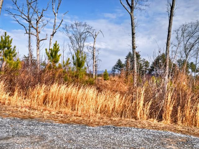 28 Mountaintown Rd, Ellijay, GA 30540 | MLS #424747