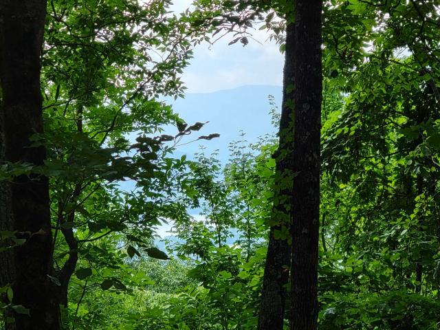 28 Oak Ridge Rd, Hayesville, NC 28904 | MLS #328597