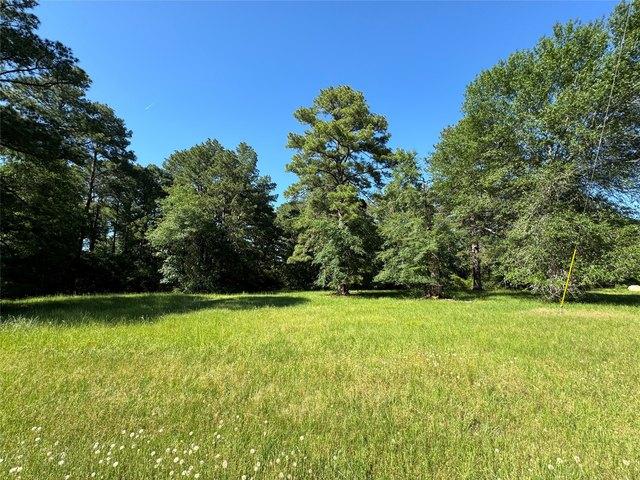 28 Oakridge, Trinity, TX 75862