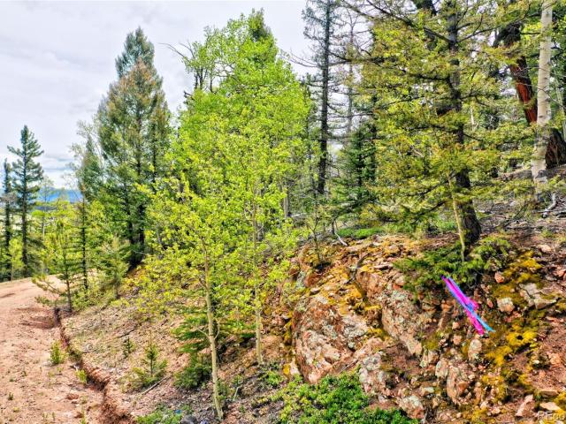 28 Old Squaw Rd, Como, CO 80432 | MLS #5837