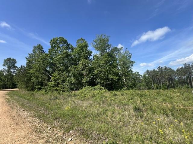 28 Pafford Ln, Erin, TN 37061