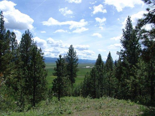 28 Rehn Loop Unit 2, Cascade, ID 83611