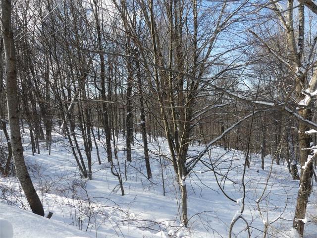 28 State Hwy, Andes, NY 13731 | MLS #R1664 | Compass