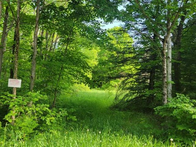 28A On Doland Rd, Winter, WI 54896