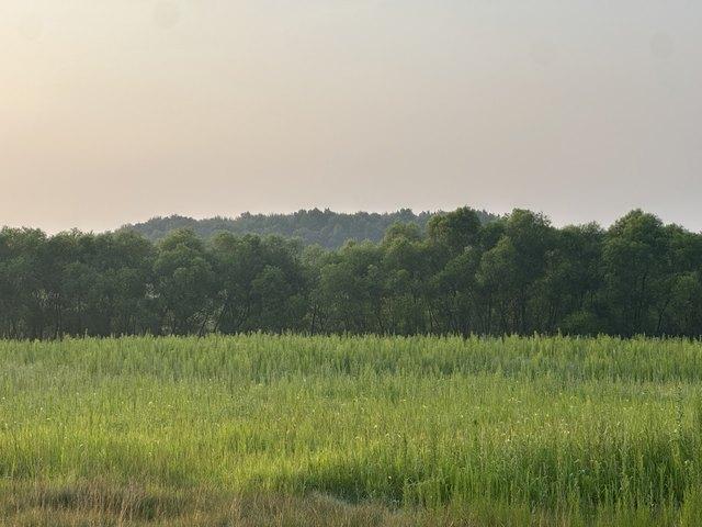 28th Ave Lot 5, Elk Mound, WI 54739