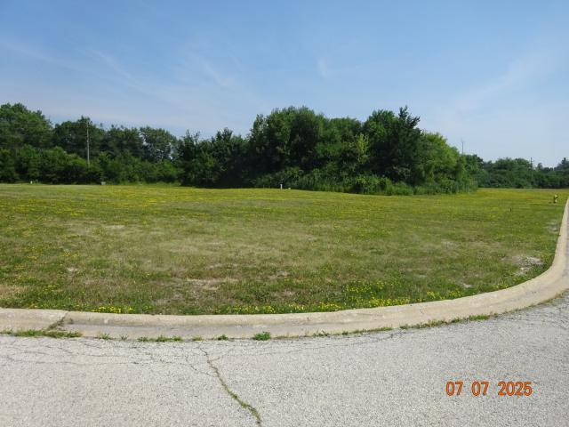 2904 Athena Ct, Olympia Fields, IL 60461 | MLS #12418