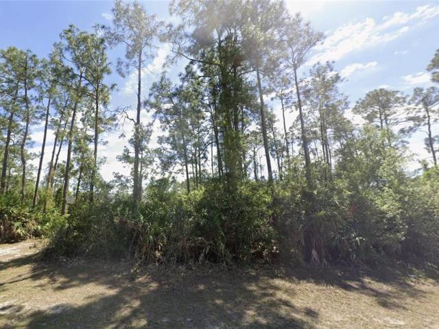 2904 E 9th St, Lehigh Acres, FL 33972 | MLS #TB8442