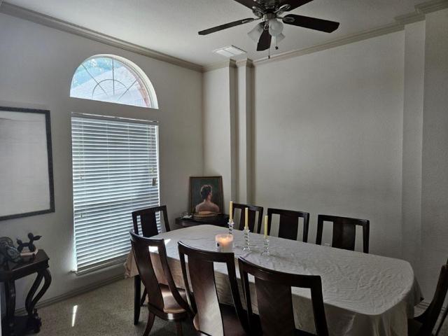 2905 Pottery Trail