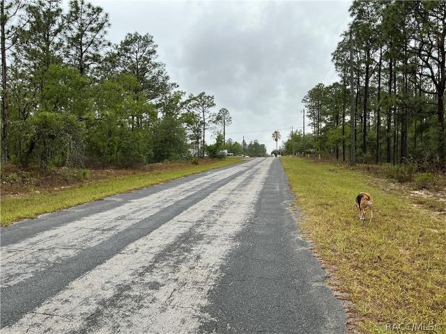 2905 W Sharpes Dr, Citrus Springs, FL 34433 | MLS #855012
