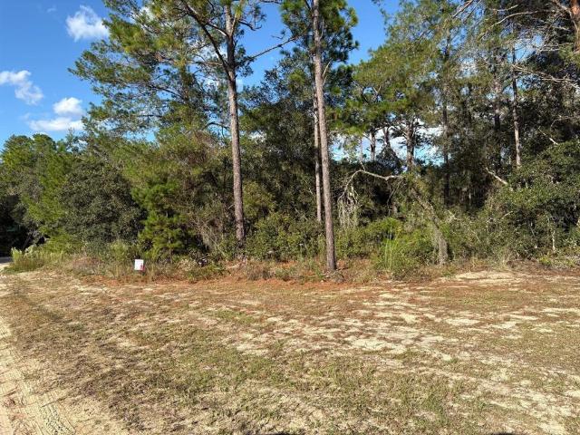 2909 Eastwood St, Inverness, FL 34452 | MLS #TB8445