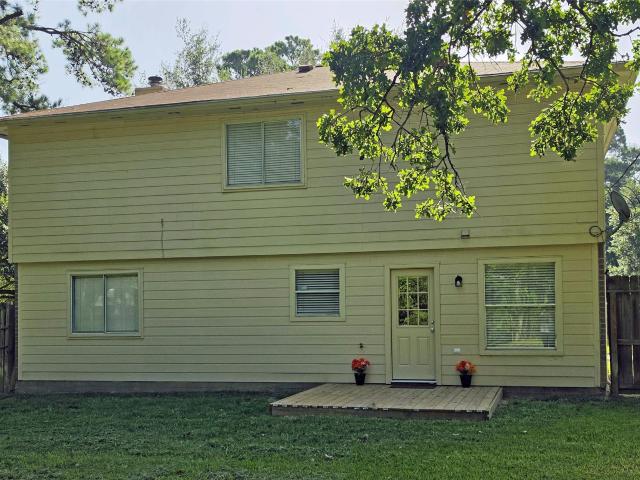 29003 Pine Forest Drive